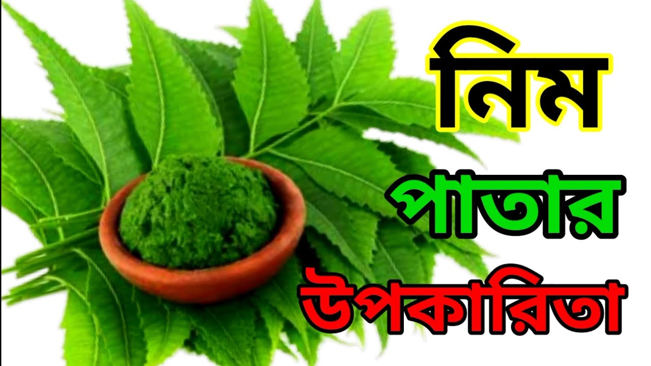 নিম পাতার উপকারিতা ও অপকারিতা |Neem Leaves eating benefits | Neem ...