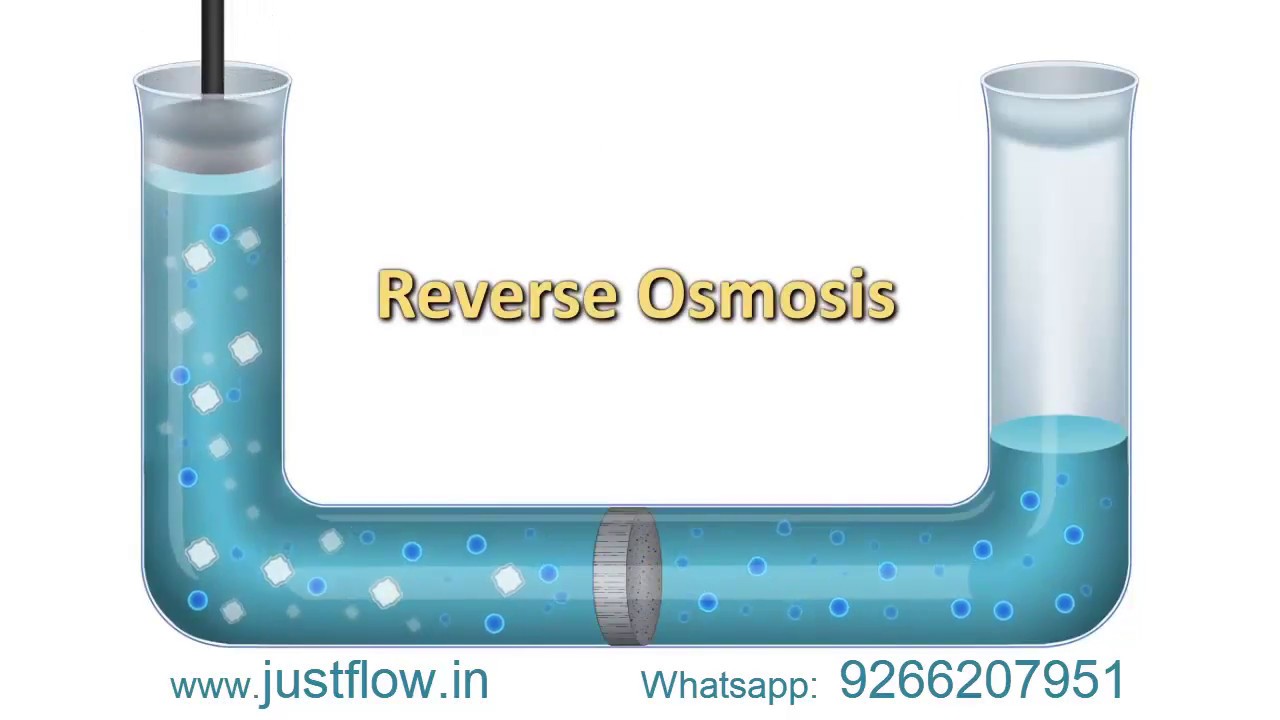 How does reverse osmosis work | Working Commercial RO | All Type of ...