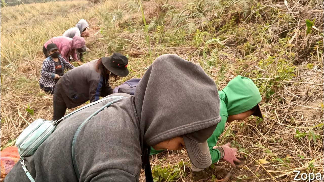 Sawhthing cho leh phawt ang aw a van in daih lo thei tak em😂😂 - YouTube