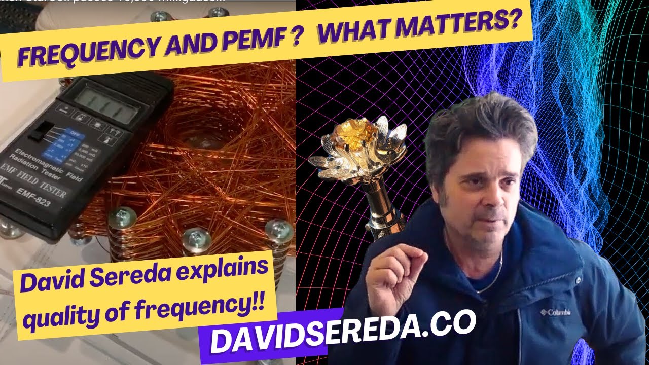 David Sereda discusses the accuracy of frequencies in PEMF - YouTube