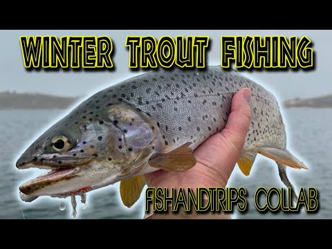 Winter Trout Fishing - YouTube