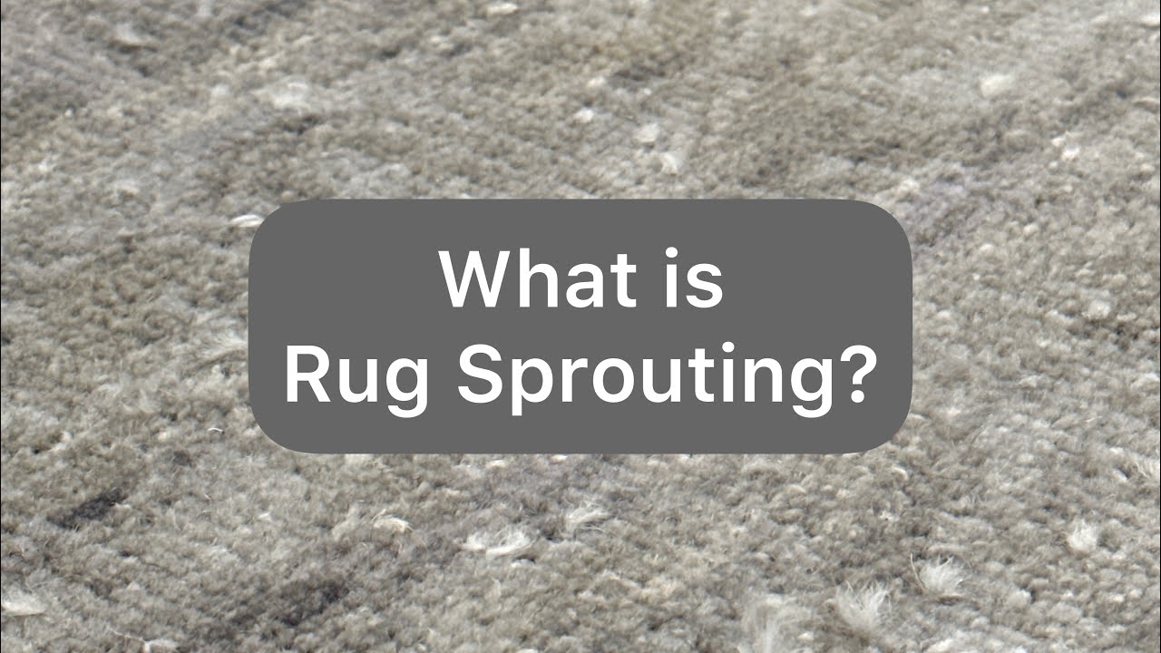 What is Rug Sprouting? #howto #diy #rugs - YouTube