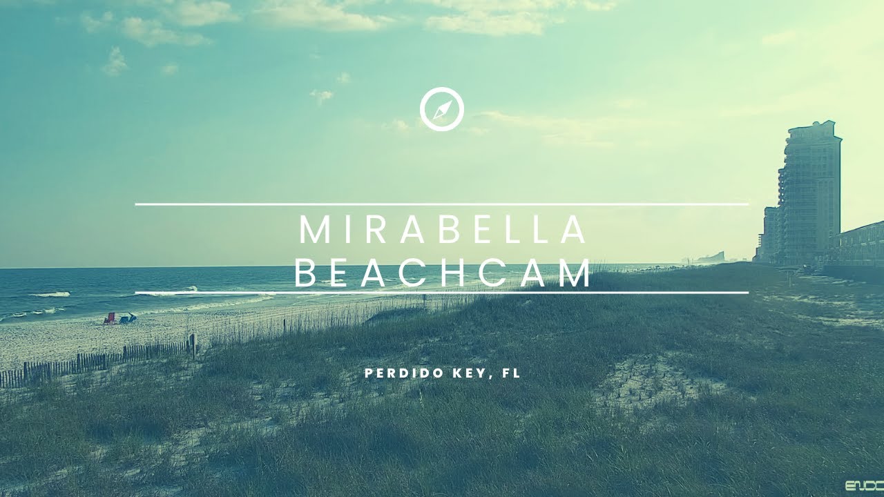 Mirabella Beach LIVE: Watch Sea Turtle Nesting & Gulf Coast Sunrises ...