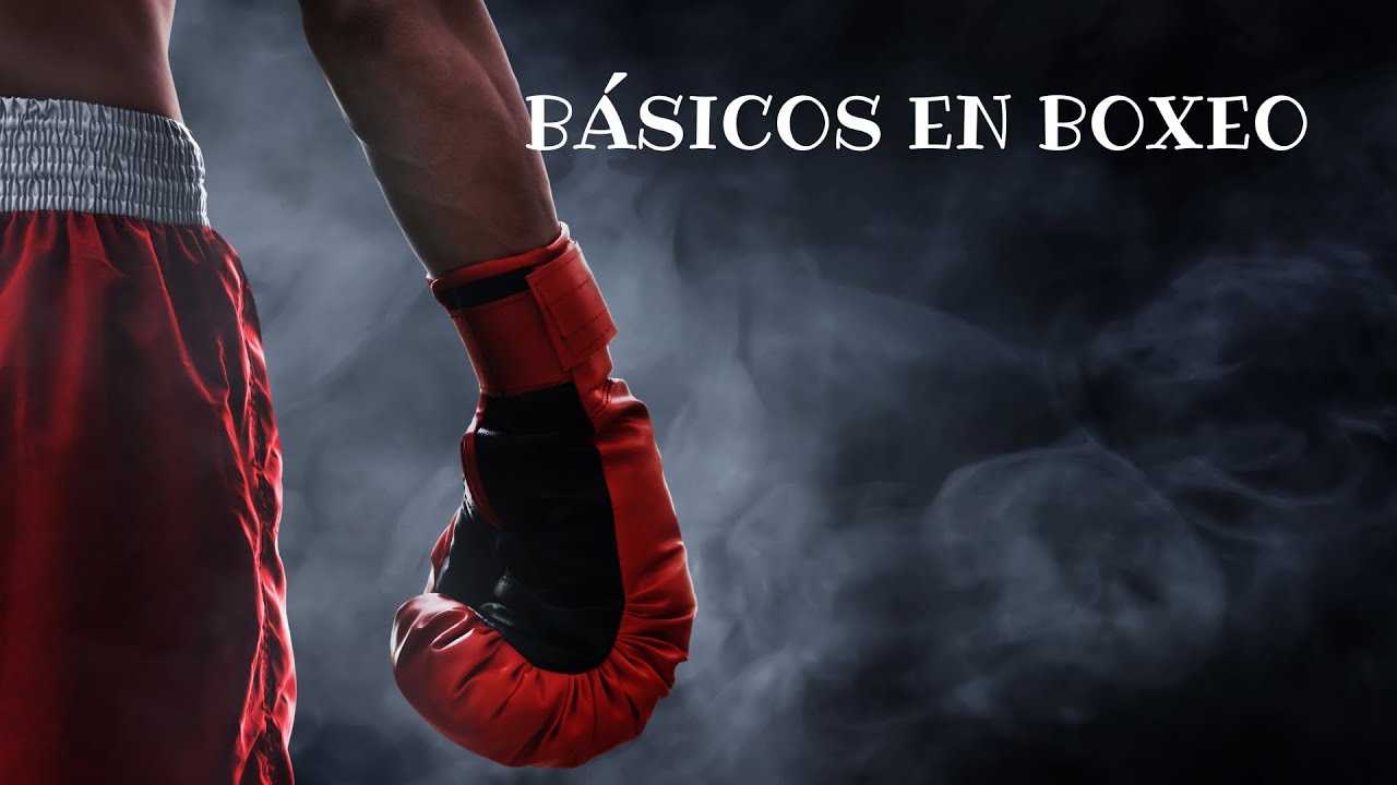 LOS 6 GOLPES BÁSICOS en el boxeo 🥊 - YouTube