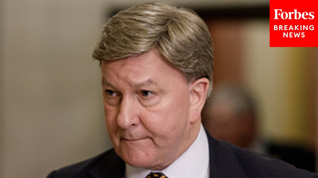 Mike Rogers Questions Experts On Ukraine’s Drone Artillery Usage - YouTube