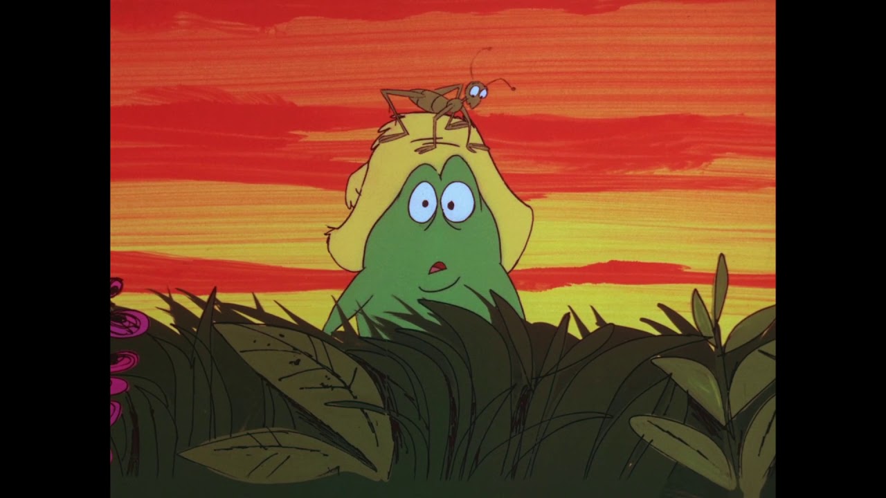 Tijuana Toads (E15/17) - Serape Happy HD - YouTube