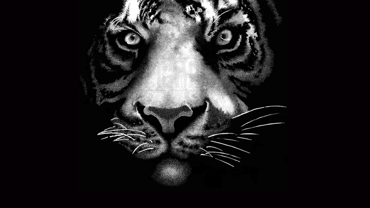 shadow tiger intro - YouTube