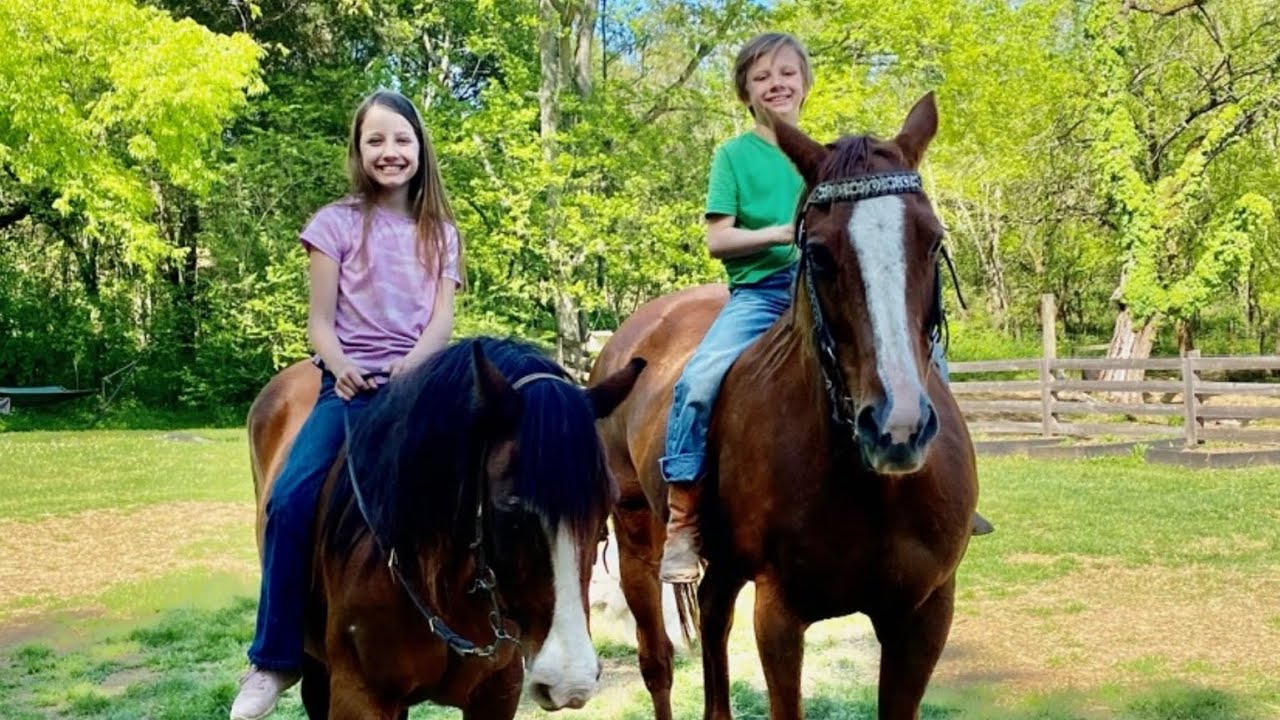 sunshine springtime horseback riding memories ️ ️ - YouTube