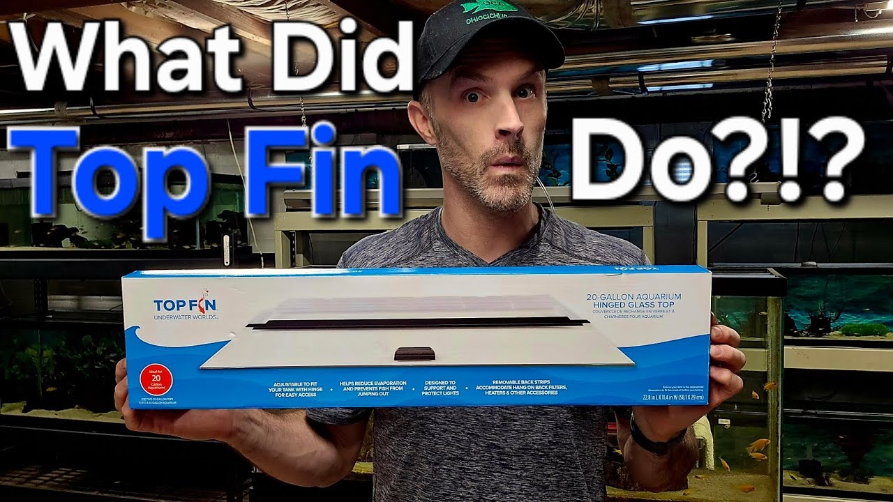 Top Fin Glass Top Upgrade! - YouTube