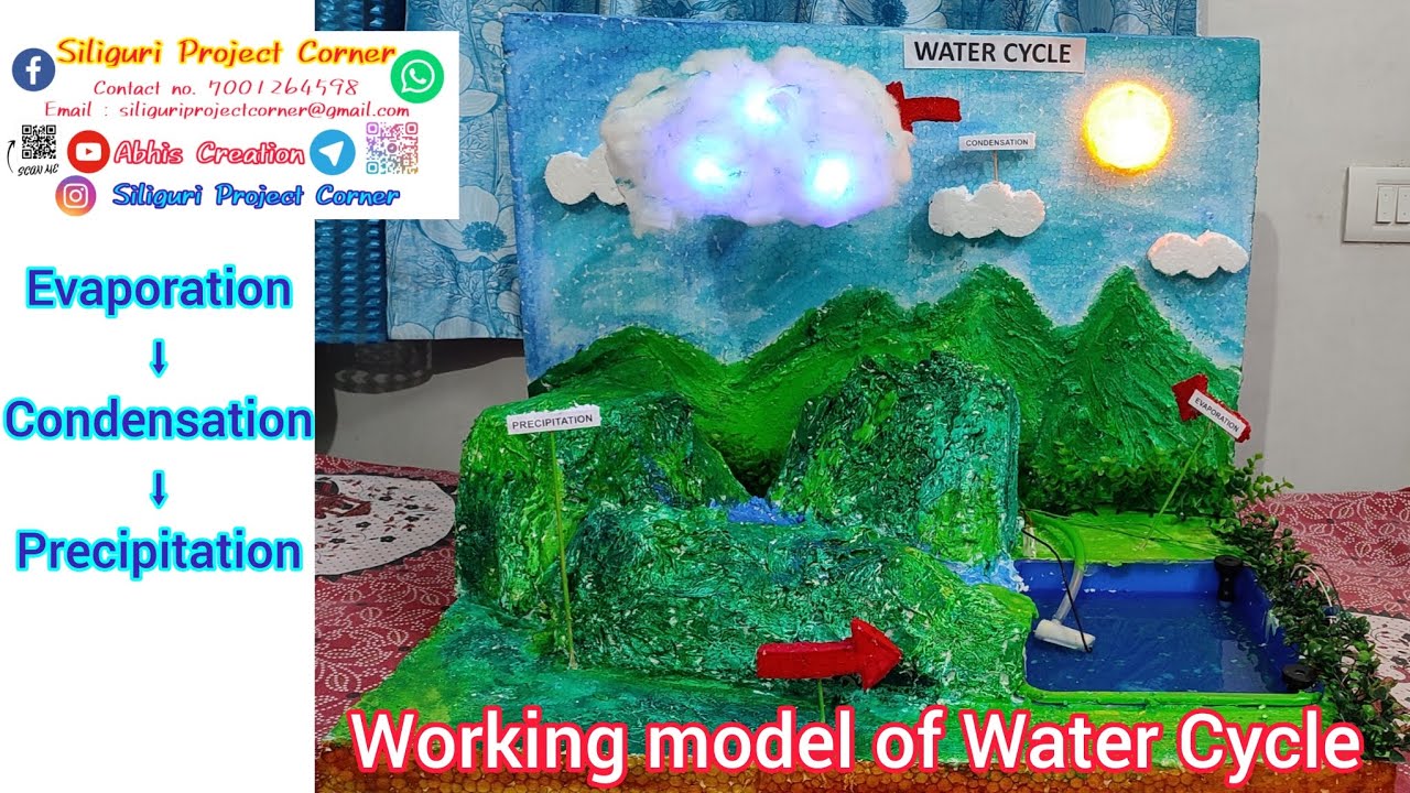 Working model of Water Cycle #watercycle #workingmodel # ...