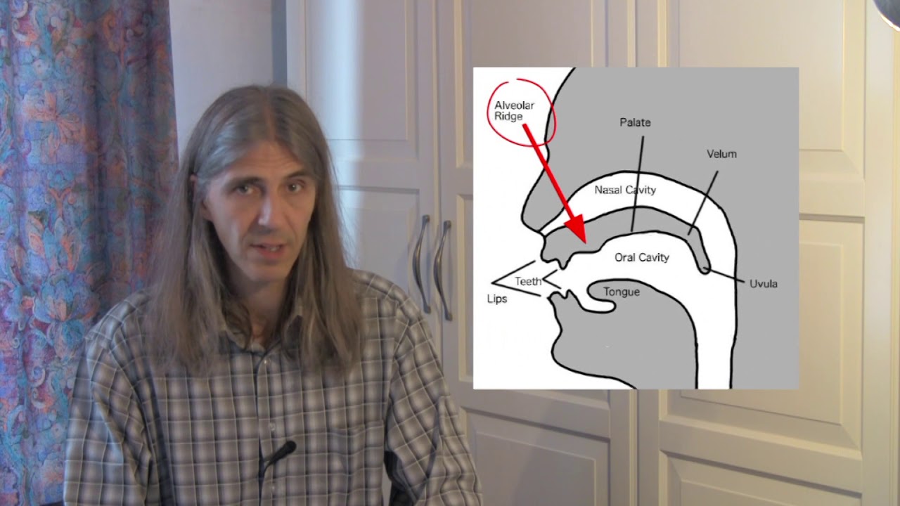 Thoughts on the Recorder, Video 10: Basic Technique: supporting the ...