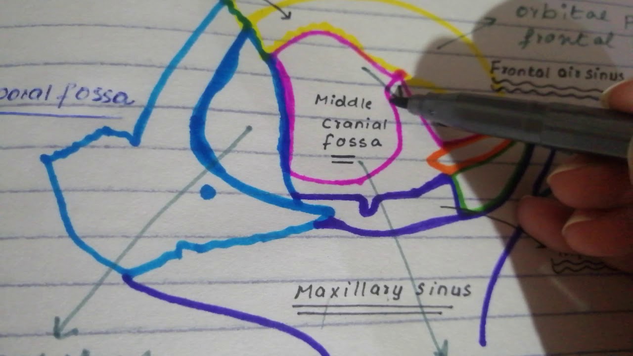 Boundaries of orbit - YouTube