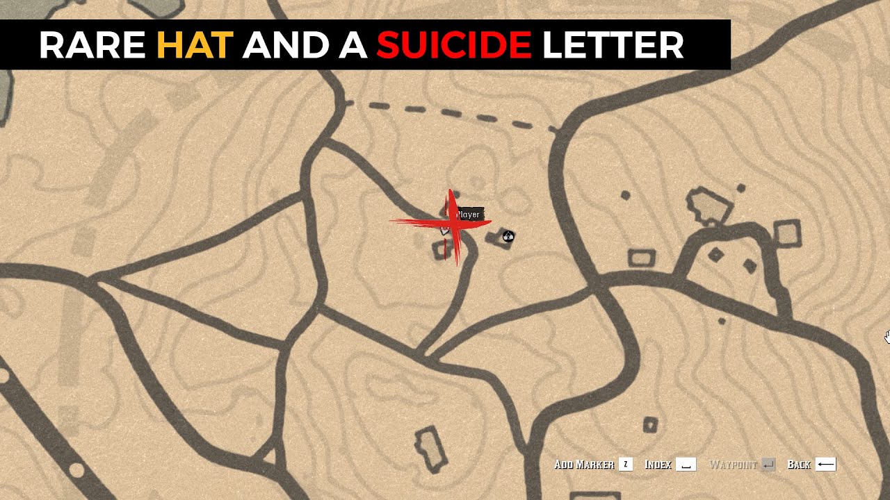 Rare Hat and a Letter in RDR2 | PrinSanity - YouTube