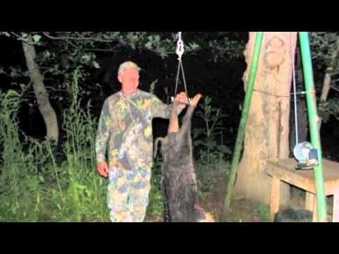 Shiloh Ranch Hunting Review - YouTube