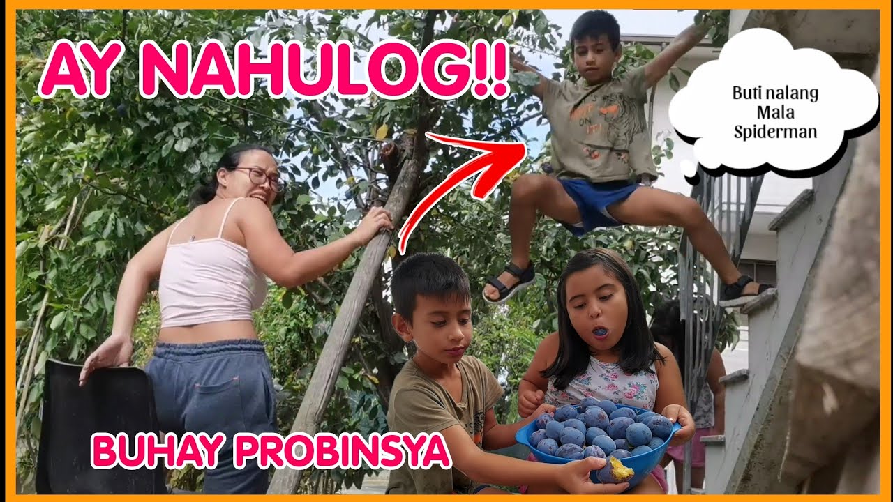 HARVESTING PLUMS SA TABI NG BAHAY NI BYENAN | ANG SARAP - YouTube