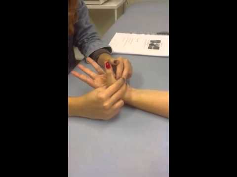 Palmar longo - YouTube