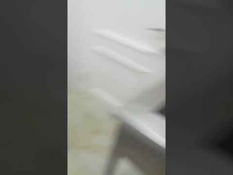 Hizir cakir beyli racon kesiyor