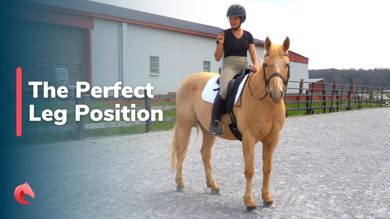 The Perfect Leg Position - YouTube