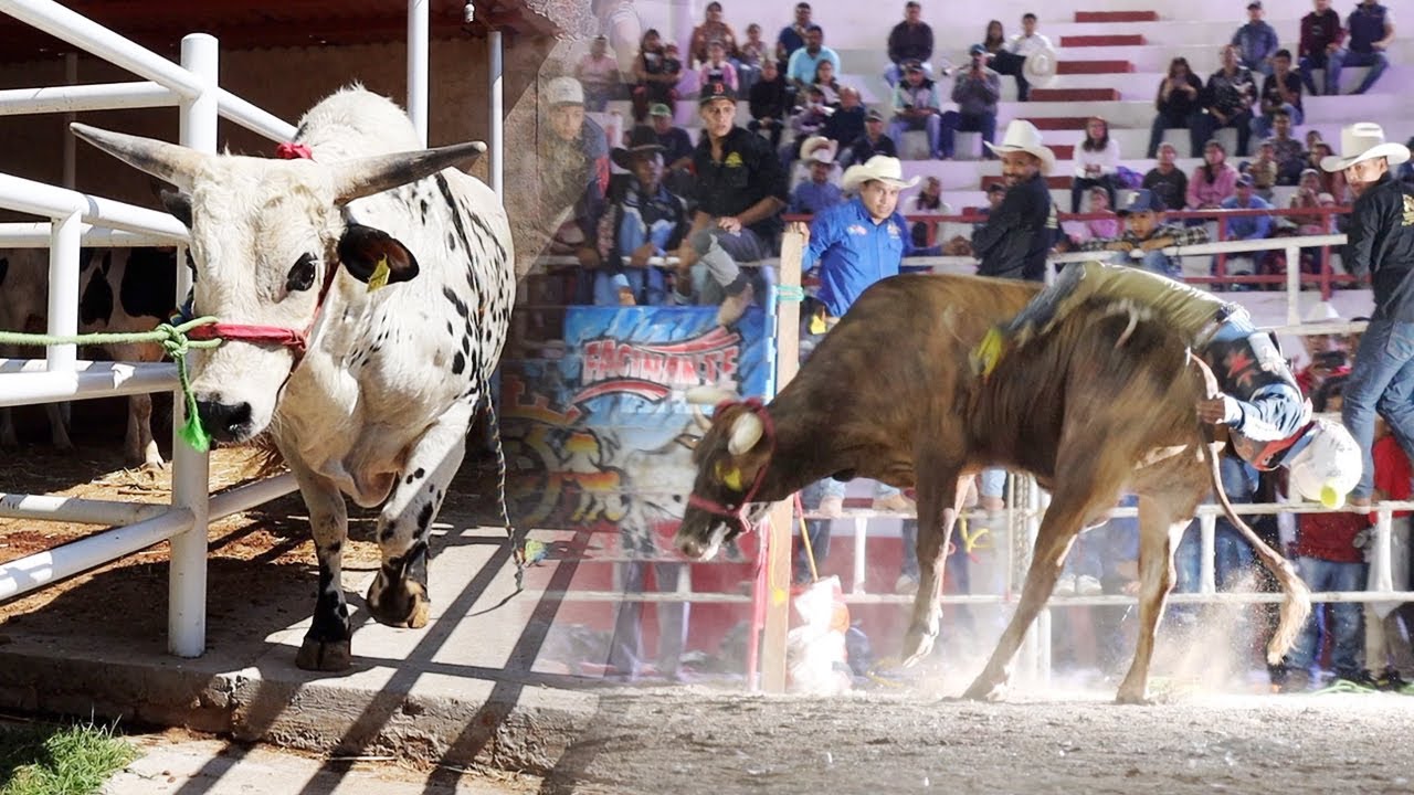 Los Fascinantes DEMOSTRANDO QUE SON DE GUERRERO y hoy tocó en Zumpango ...