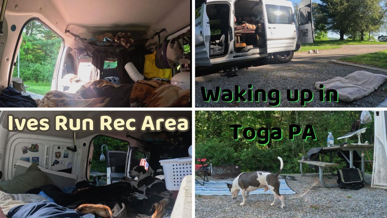 Ives Run Recreation Area & Campground | Tioga Pennsylvania | Campsite ...