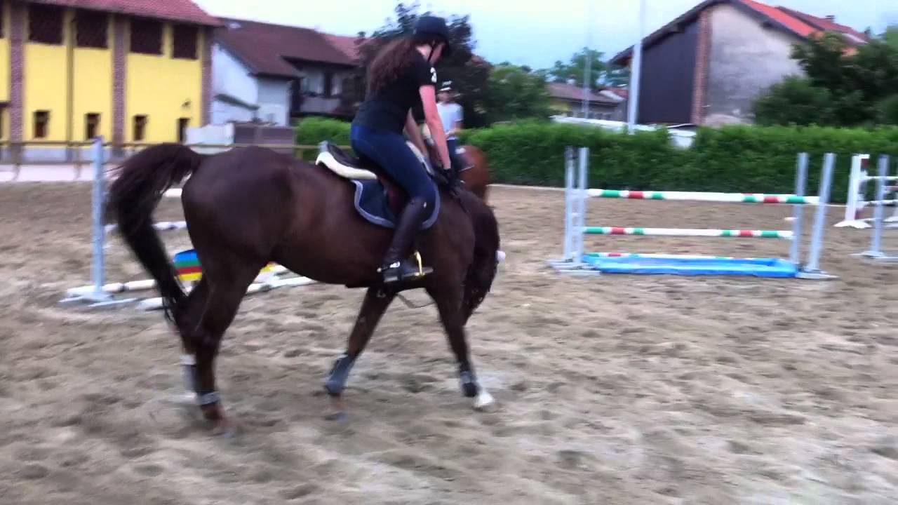 Bianca1 Youtube