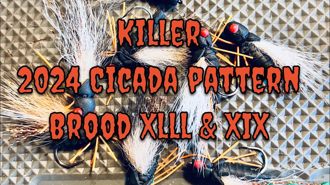 2024 Cicada fly pattern for brood Xlll & XlX. Super easy! - YouTube