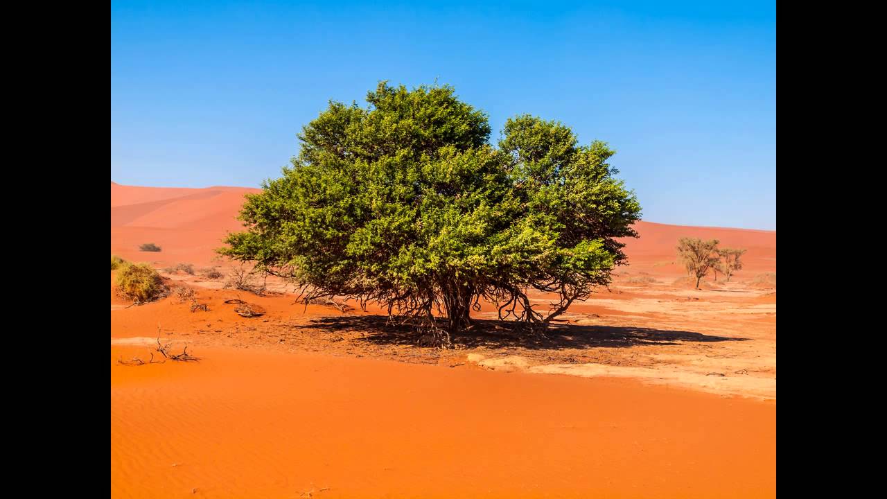 Onkoshi Camp in Etosha Nationalpark Namibia - Namibia Hotel Bewertung ...