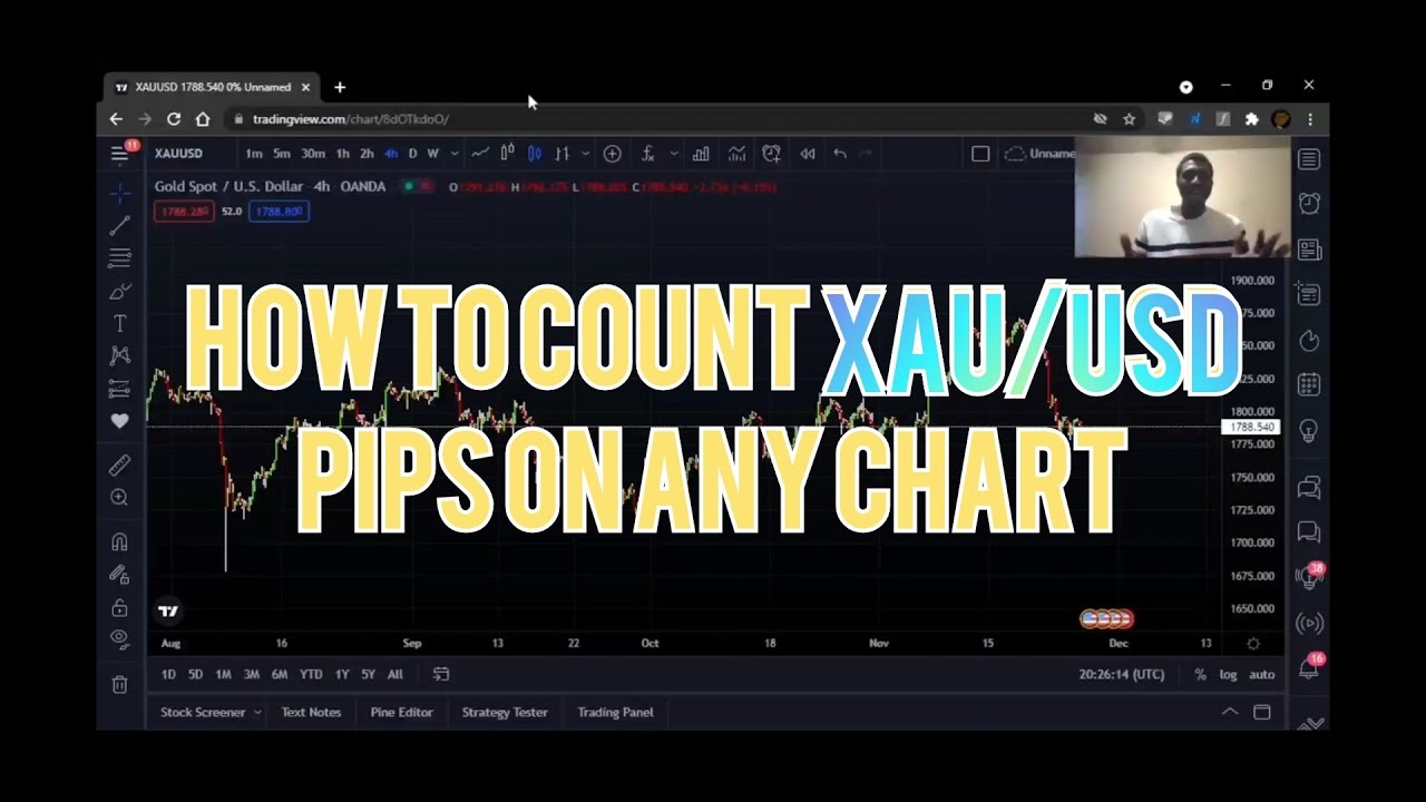 Forex Trading Training | How To Count Gold Pips (XAUSD ) In Forex and ...