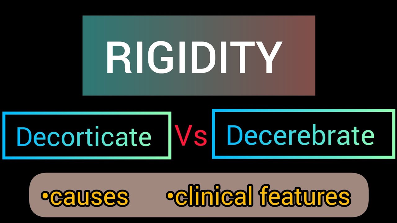 Decorticate vs Decerebrate RIGIDITY|Rigidity types|Made easy with ...
