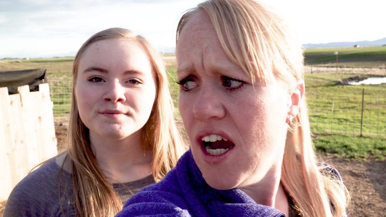 There Is Just No Sign Of Them [Rabbit Colony Jail Break] - YouTube