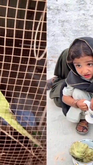 Baba chee #trendingshorts 😱 - YouTube