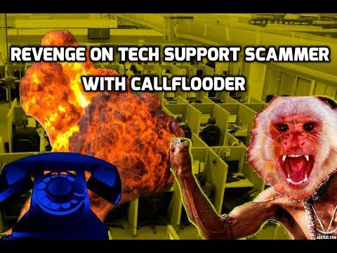 Callflooding Tech Support Scammers with Monkeys - YouTube