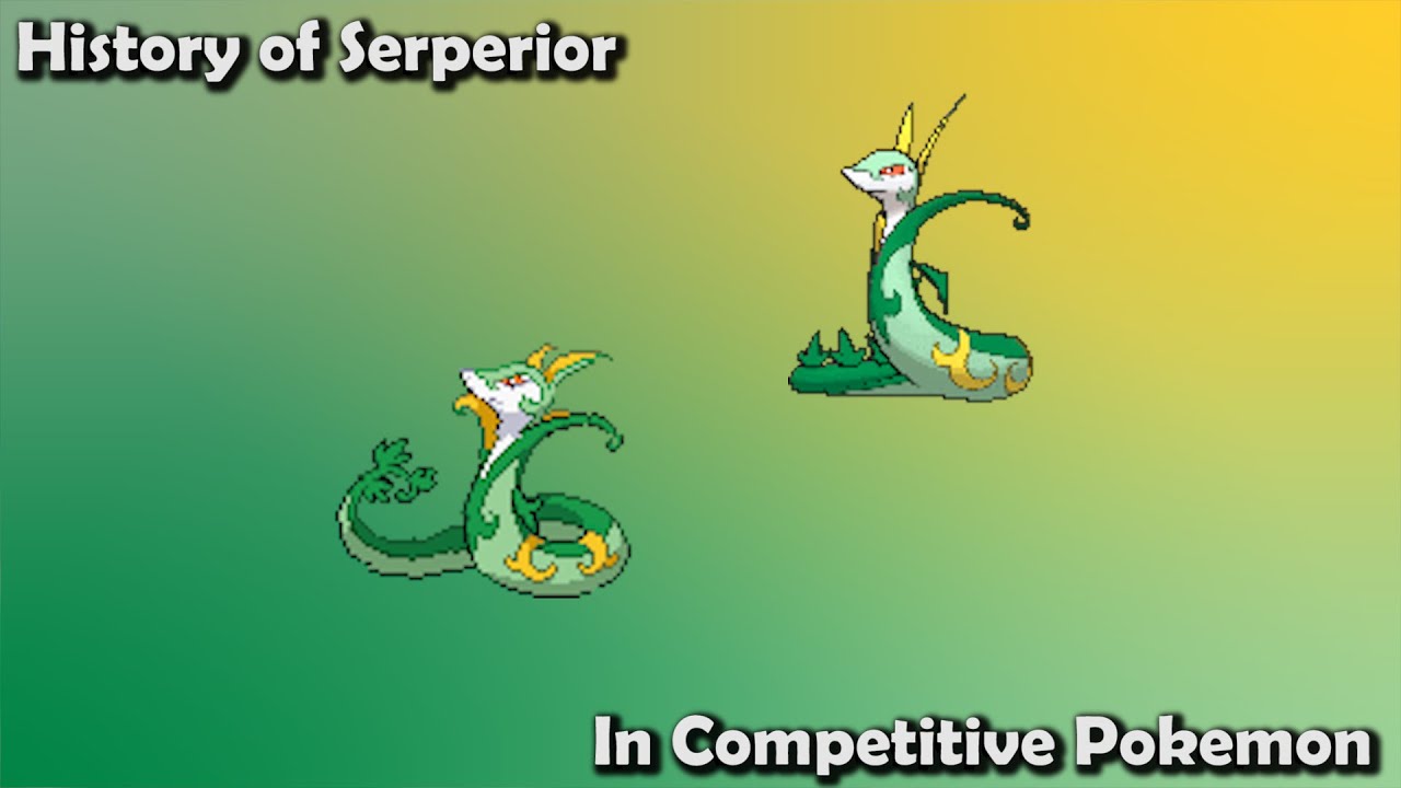 How GOOD was Serperior ACTUALLY? - History of Serperior in Competitive ...