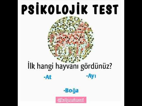 Psikolojik Test _ Psikoloji _ Psikolog