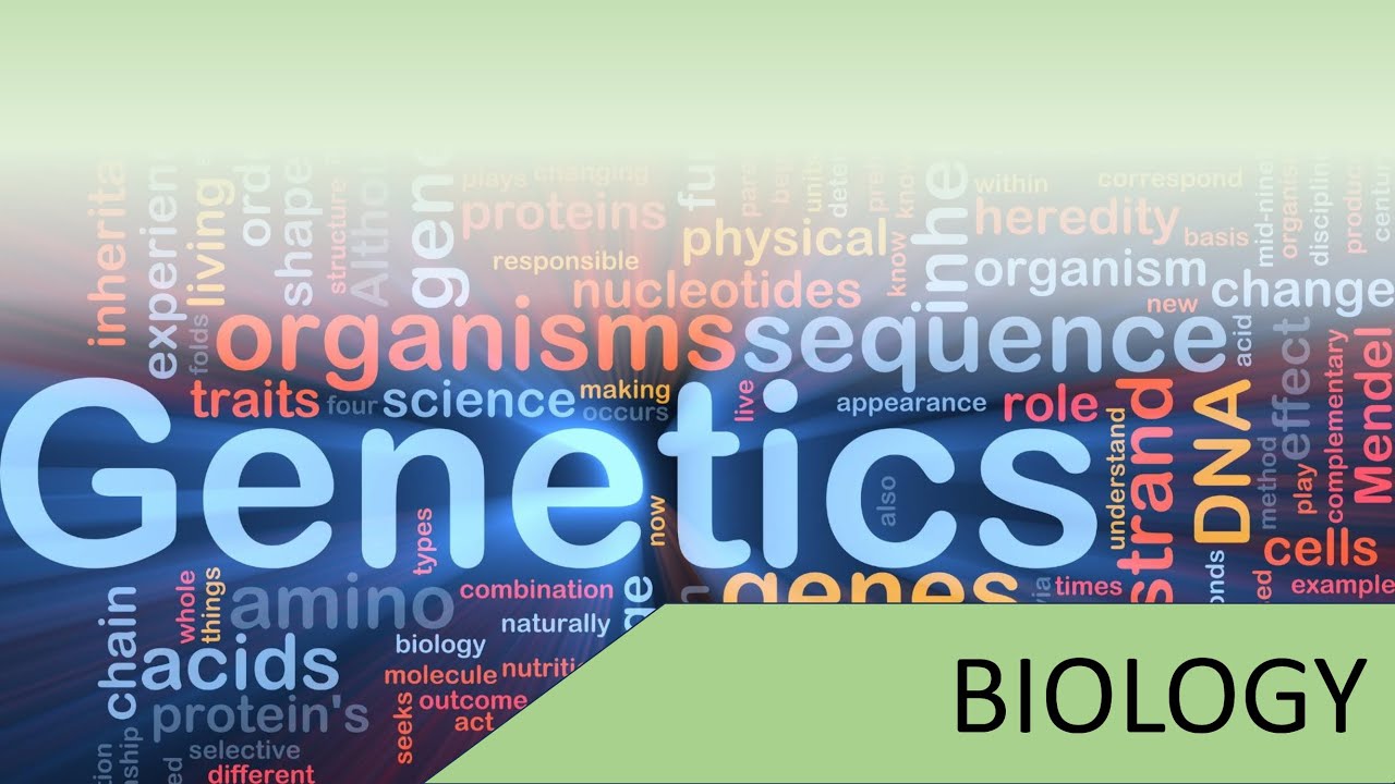 Botany Genetics Tutorial Discussion - YouTube