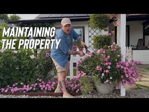 Cutting Back My For Better Blooms & A Little Work On The House