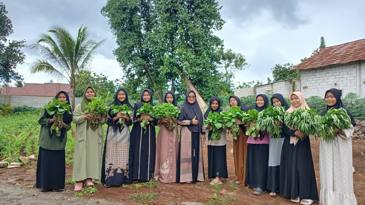 Panen Hasil Tani Santri Ponpes Hudatul Falah 🥰 - YouTube