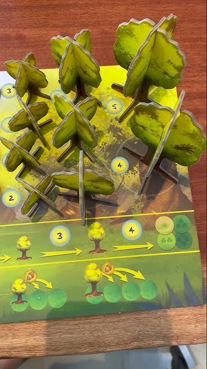 Photosynthesis Board Game Review in 60 Seconds - YouTube