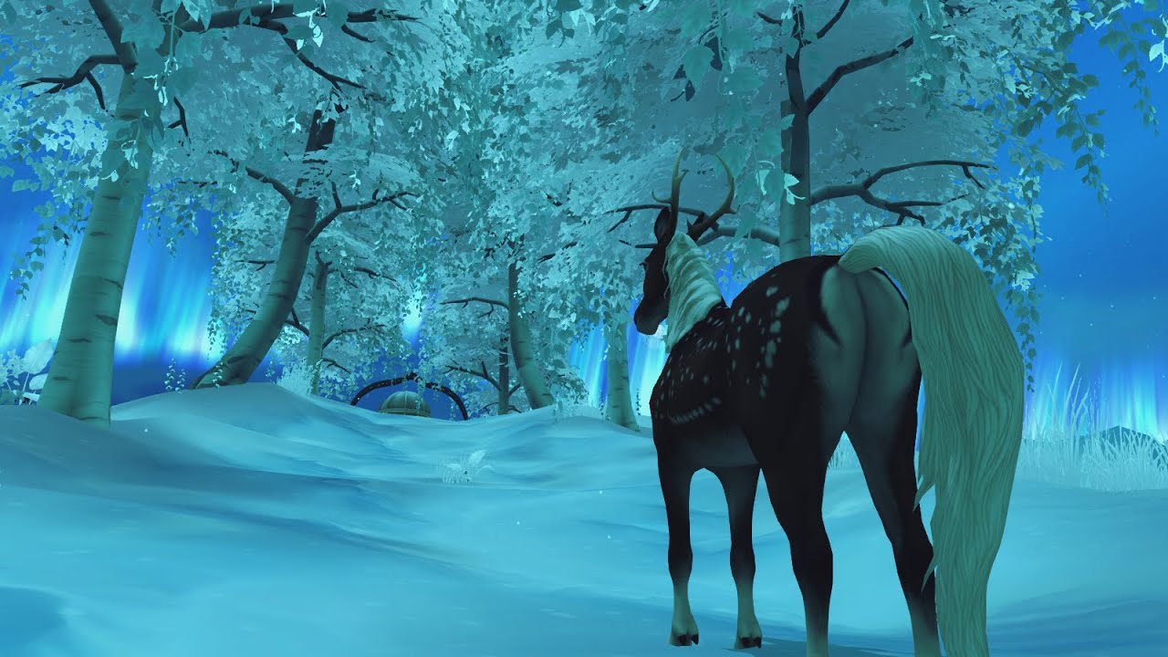 #sso Trail ride with Chip - YouTube