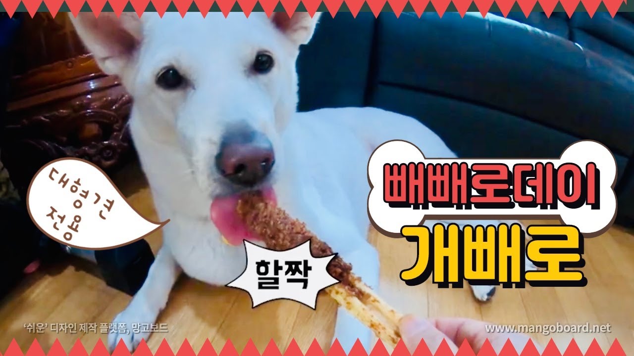 Making a chocolate covered pretzels(Pepero) for my white dog/ vlog ...