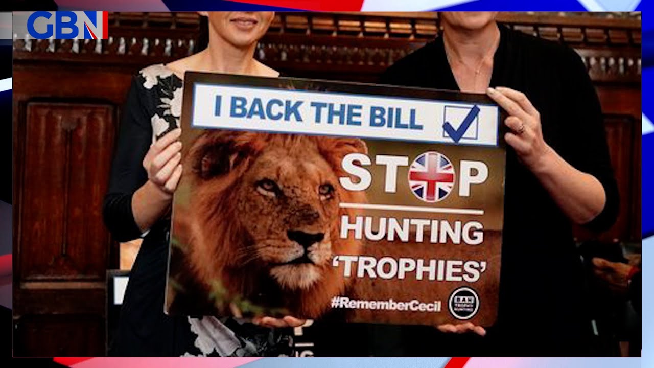 Bill banning import of hunting trophies into UK passed by MPs - YouTube