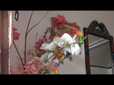 MIONG'S VLOG is going live! - YouTube