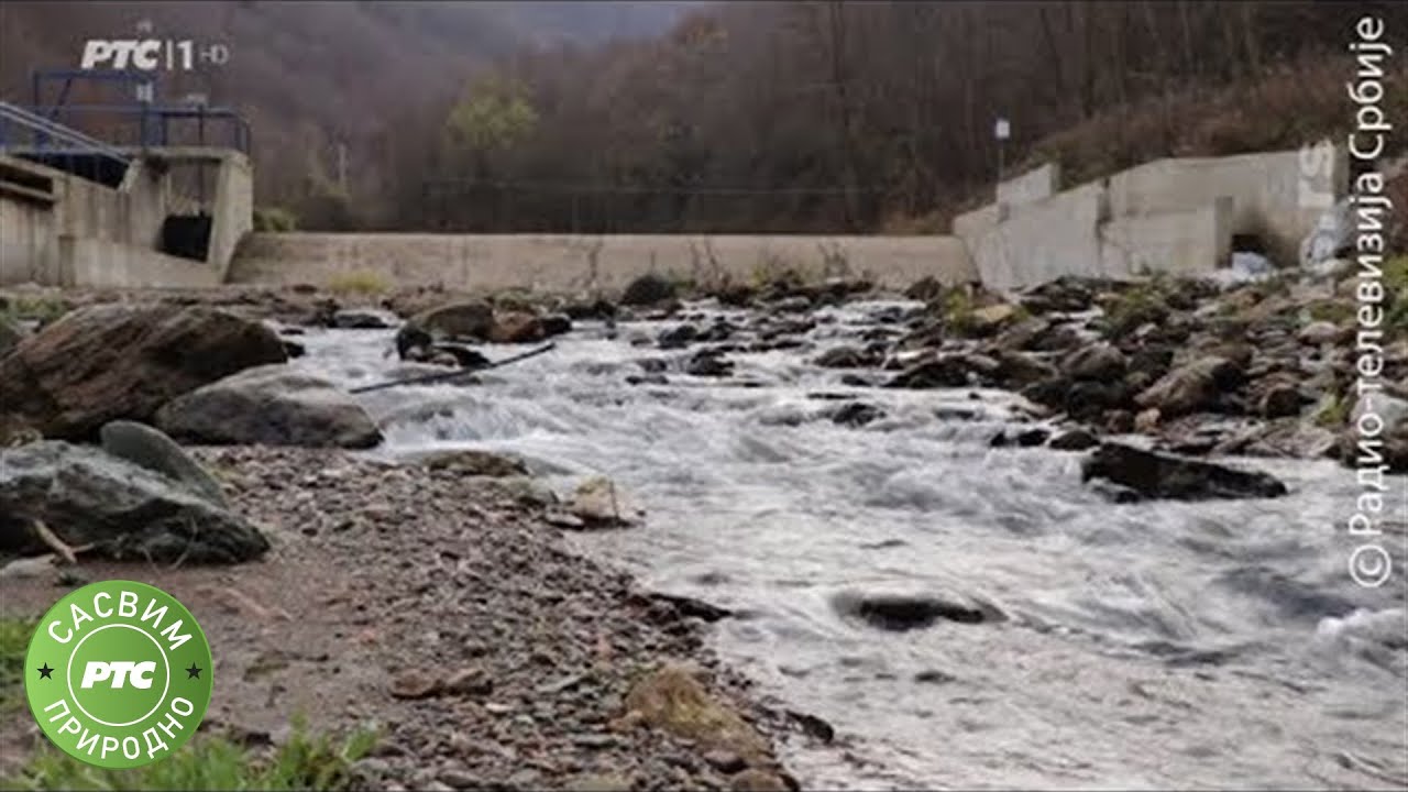 Sasvim prirodno: Ne po svaku cenu (Jovan Memedović) - YouTube