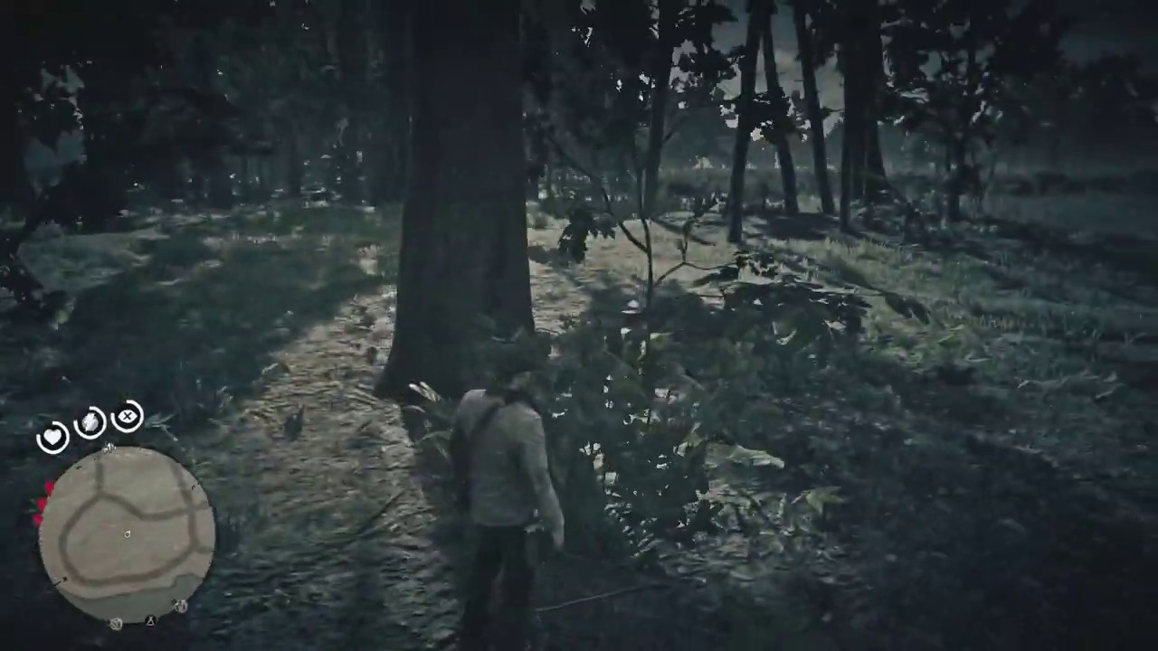 Red Dead Redemption 2 100% Walkthrough Chapter 2 Part 39 Evergreen ...