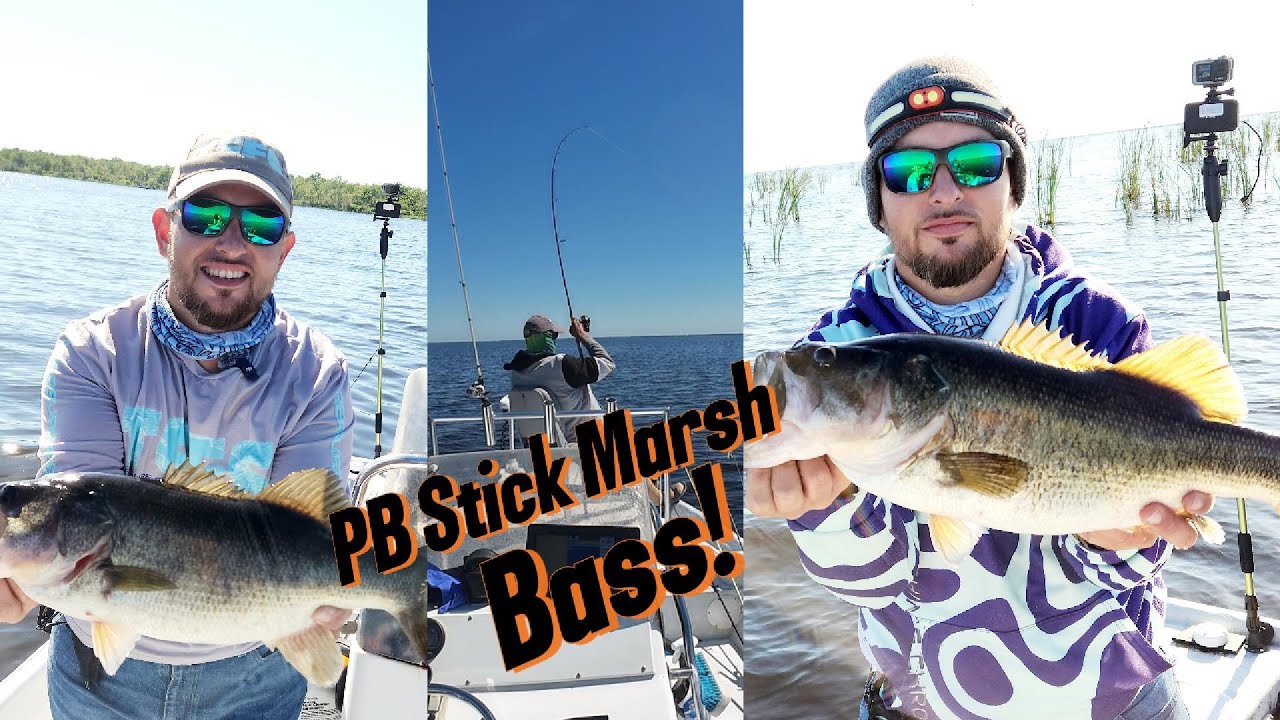 PB Stick Marsh Bass Fishing - YouTube