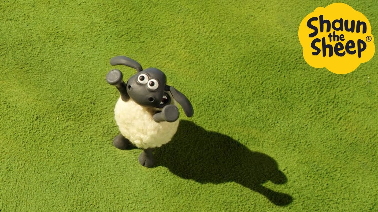 Shaun the Sheep 🐑 Timmy Catch! - Cartoons for Kids 🐑 Full Episodes ...