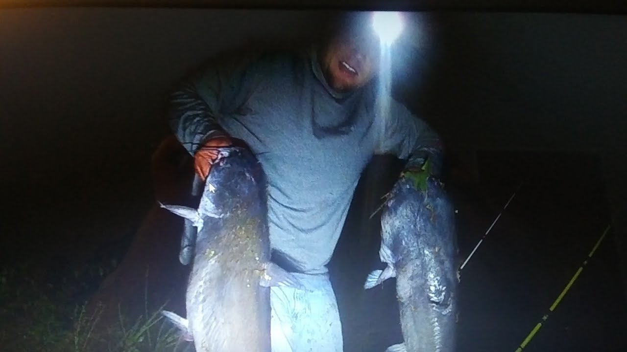 How to tie a Santee Rig - YouTube