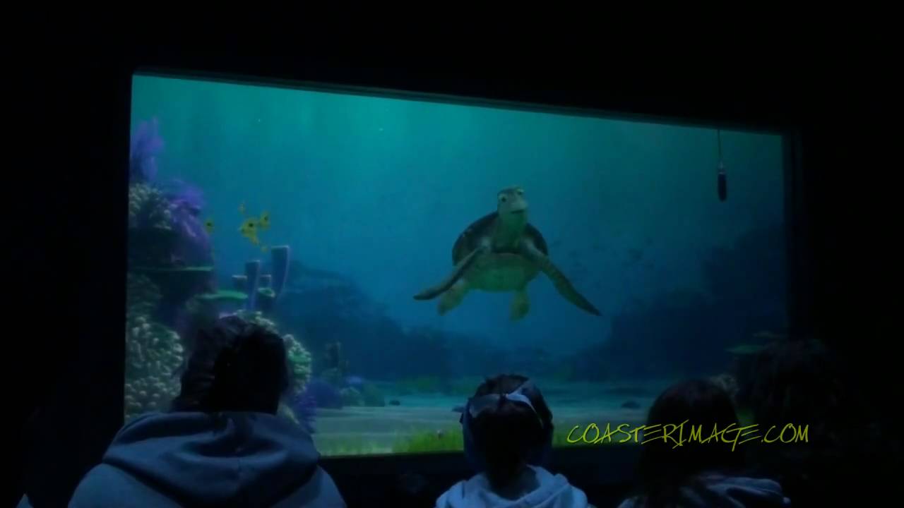 Turtle Talk With Crush at Walt Disney World - YouTube