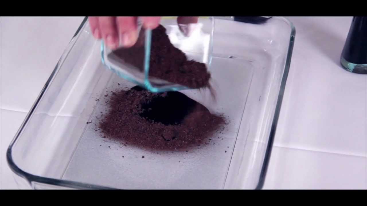 Propiedades de absorción de Musgo Absorbente - YouTube