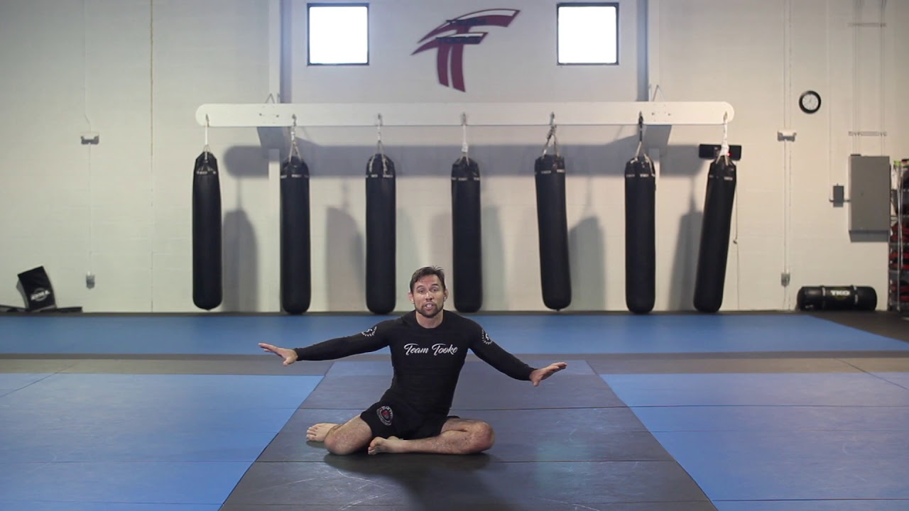 Tiger Routine with Professor Travis Tooke (Online Homework Assignment ...